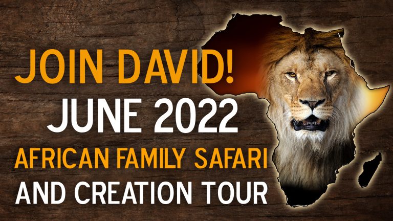 David Rives Ministries Homepage – David Rives Ministries